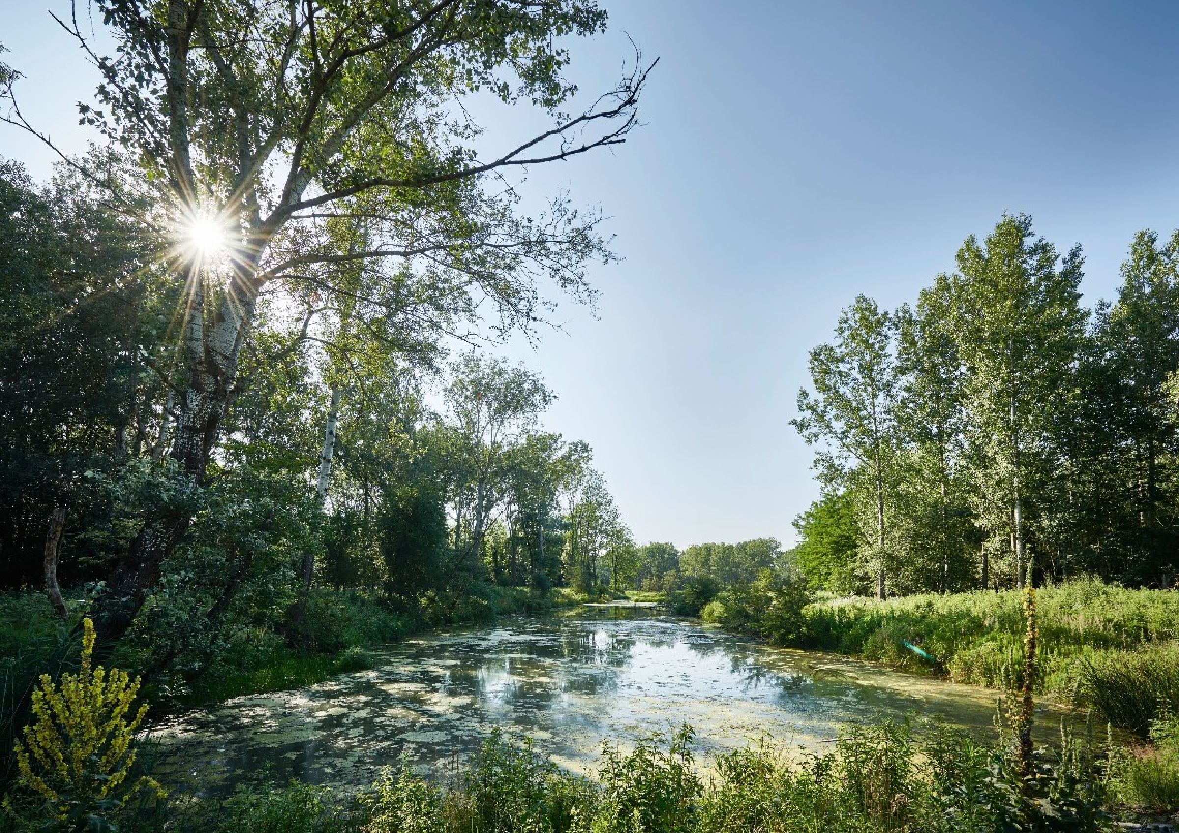 Why climate protection is important - Federal Ministry of Agriculture ...