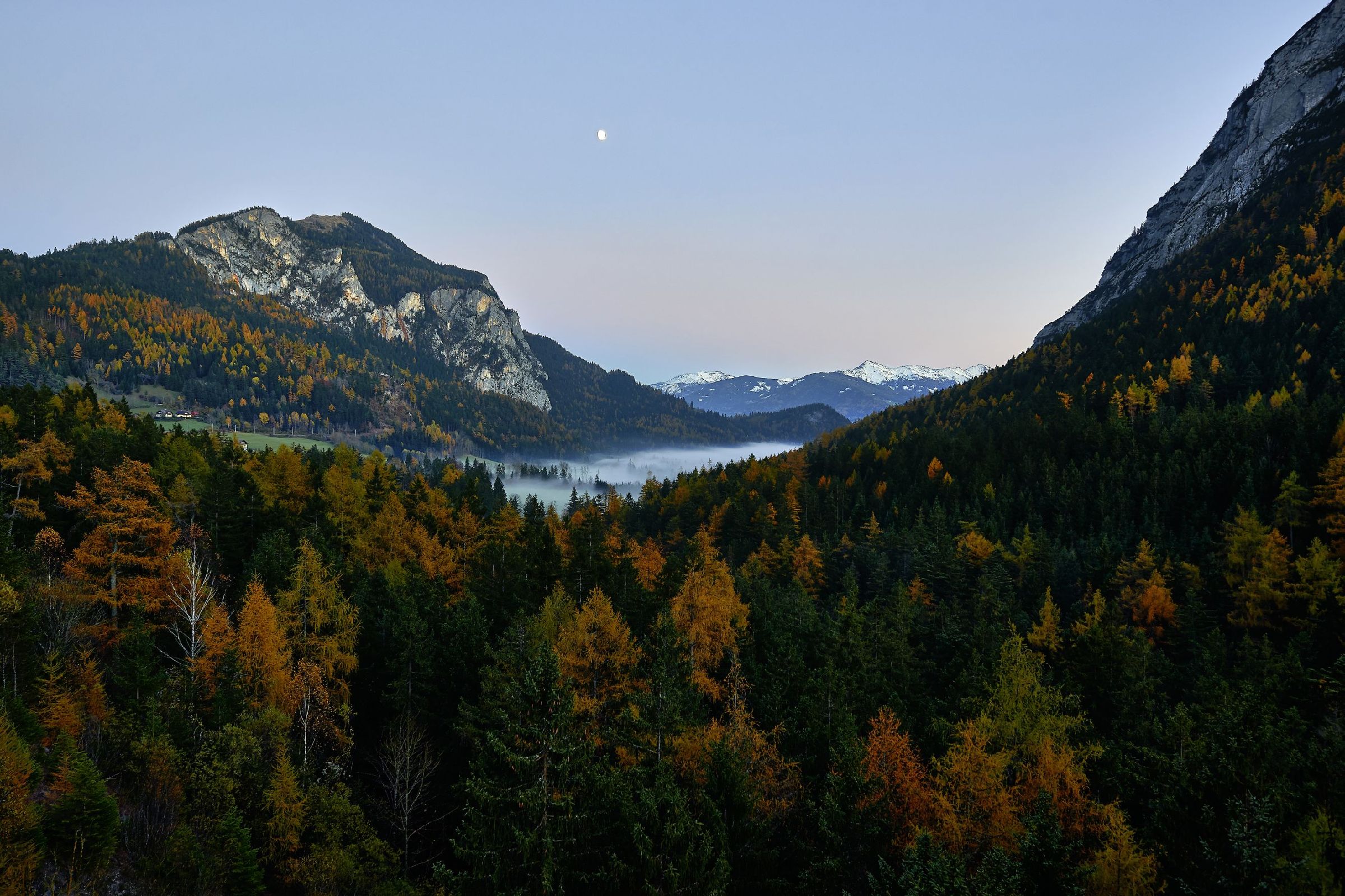 Support for forestry as part of the CAP Strategic Plan