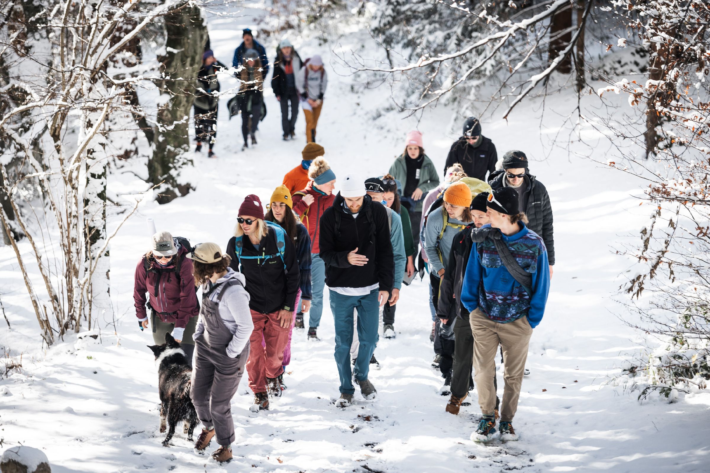 Das Projekt "HumanFactor"