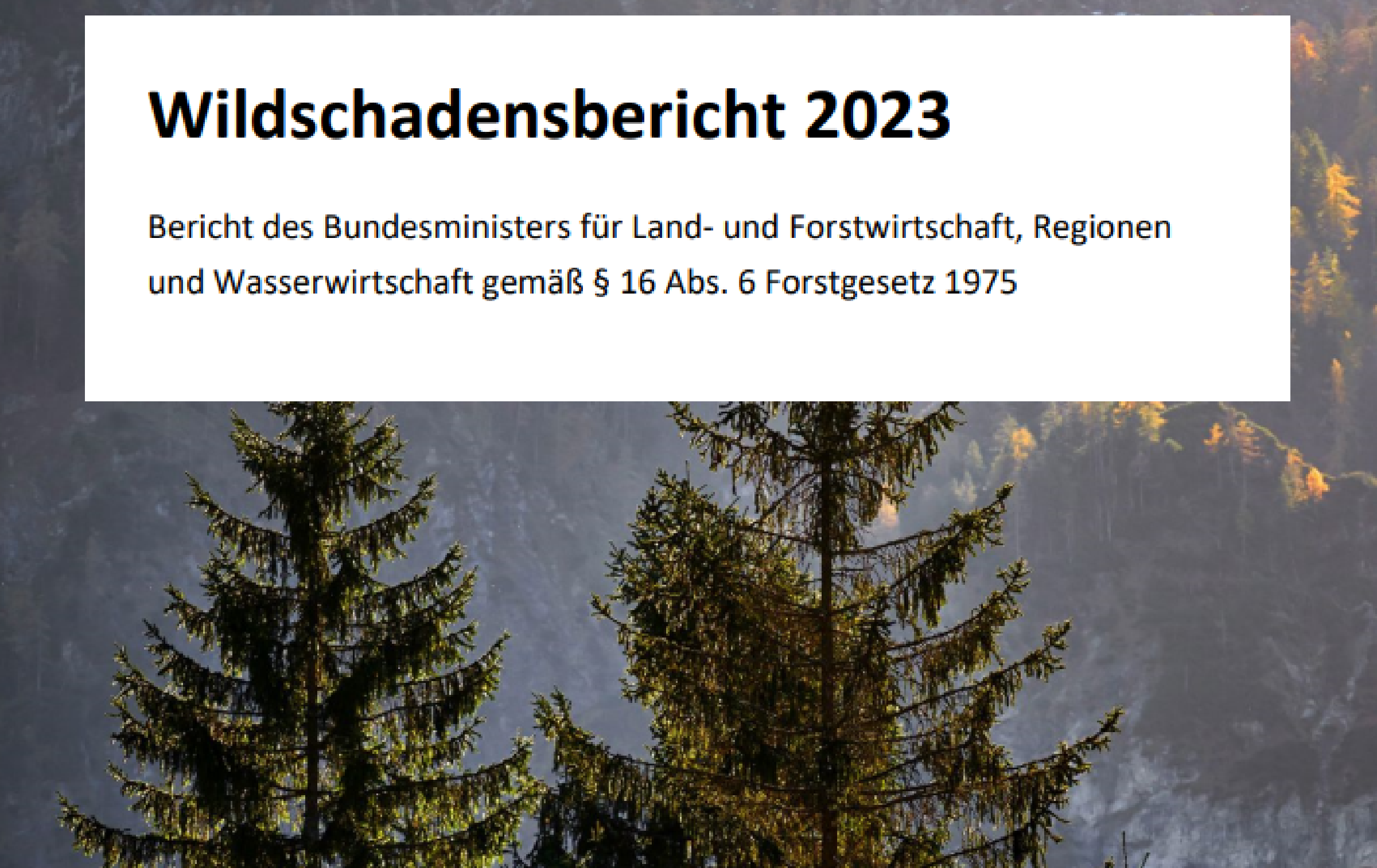Wildschadensbericht 2023 - Bundesministerium für Land- und ...