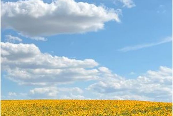 Facts and Figures 2024