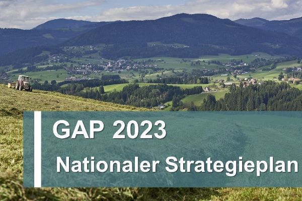 The national CAP Strategic Plan for Austria